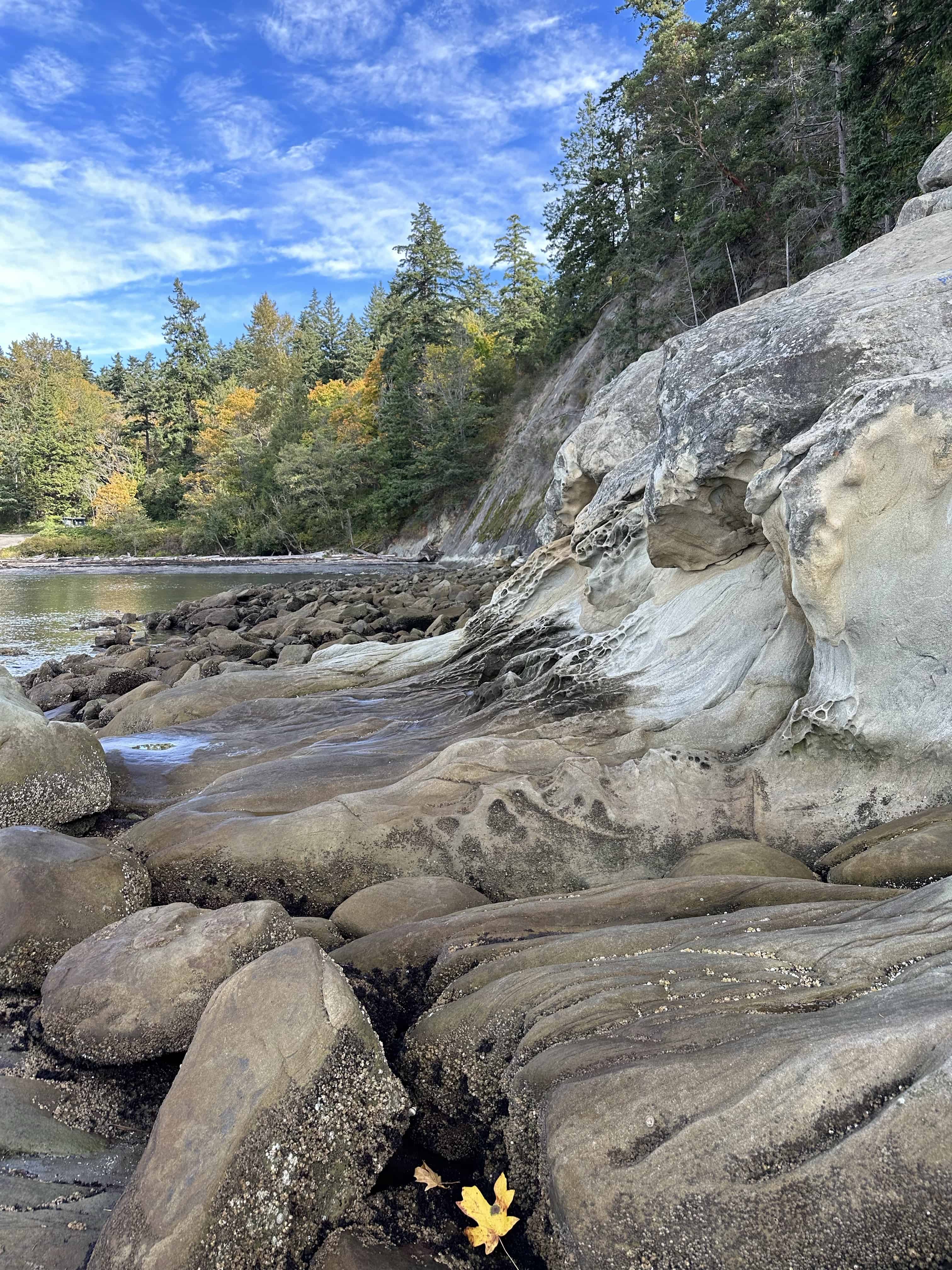 Camping At Larrabee State Park: A Complete Guide