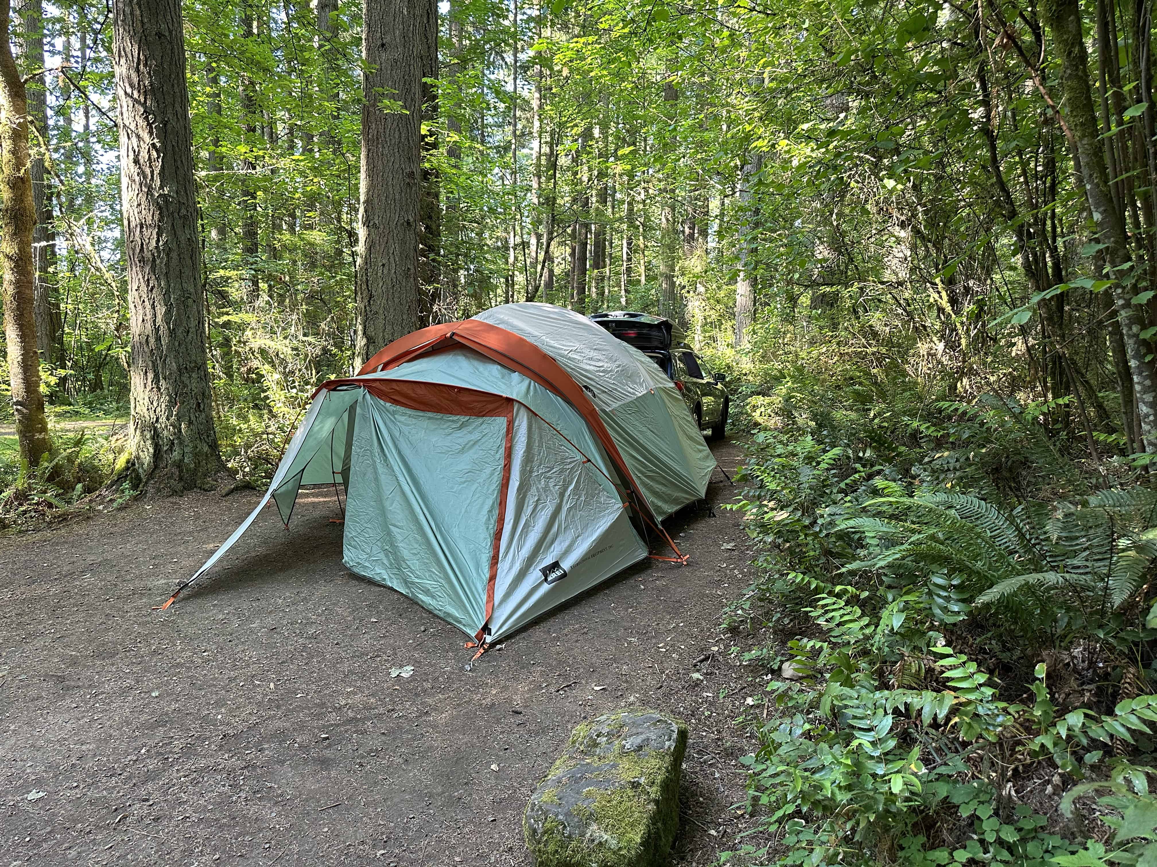 Sustainable Camping In Washington State: Beginner Tips