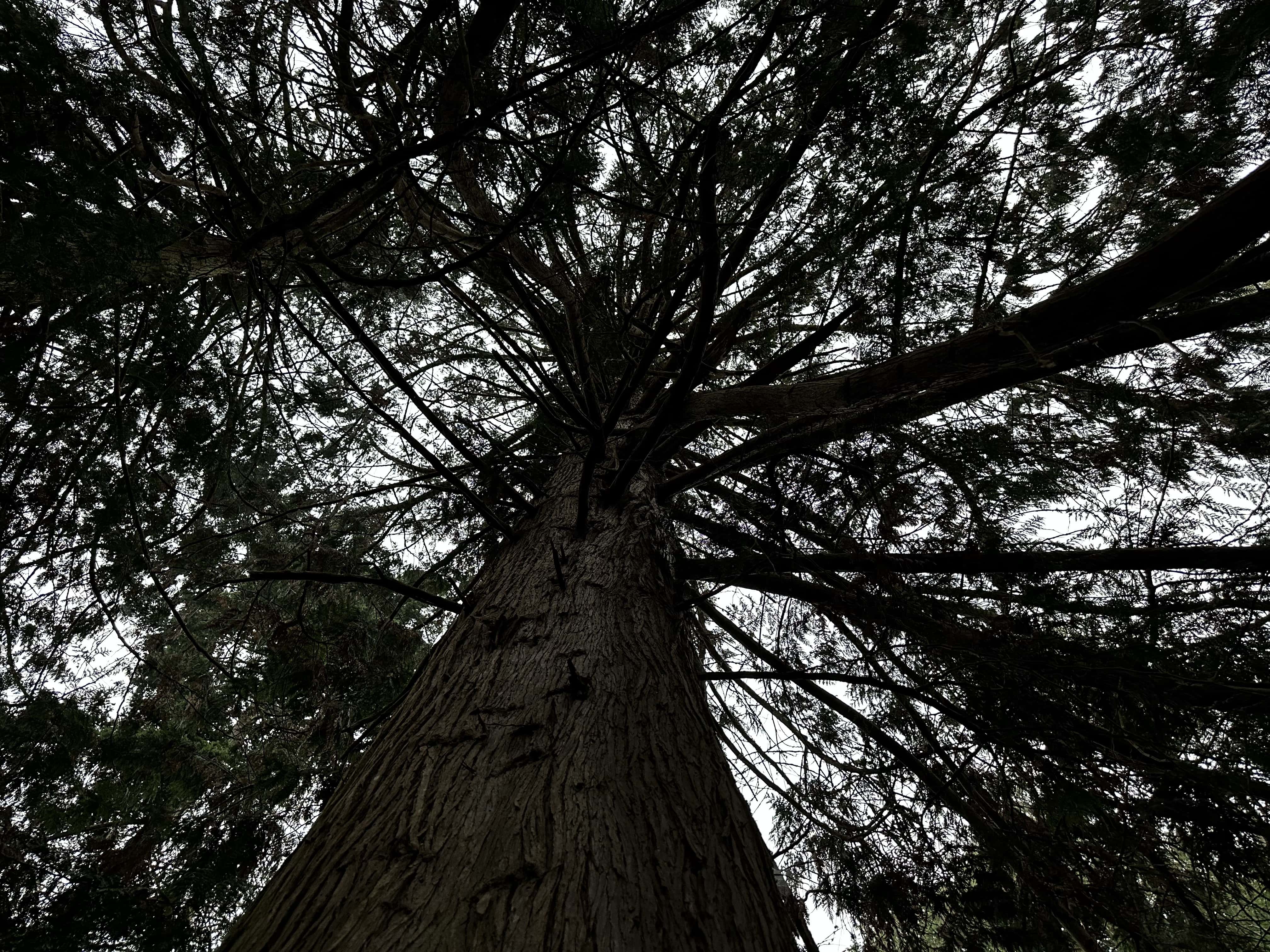 Deception Pass State Park Camping: All You Need To Know