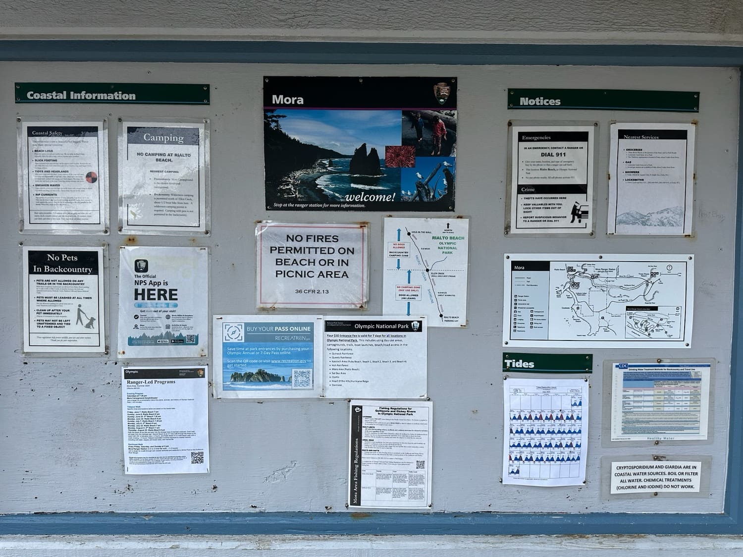 Explore Mora Campground: Essential Family's Guide And Tips