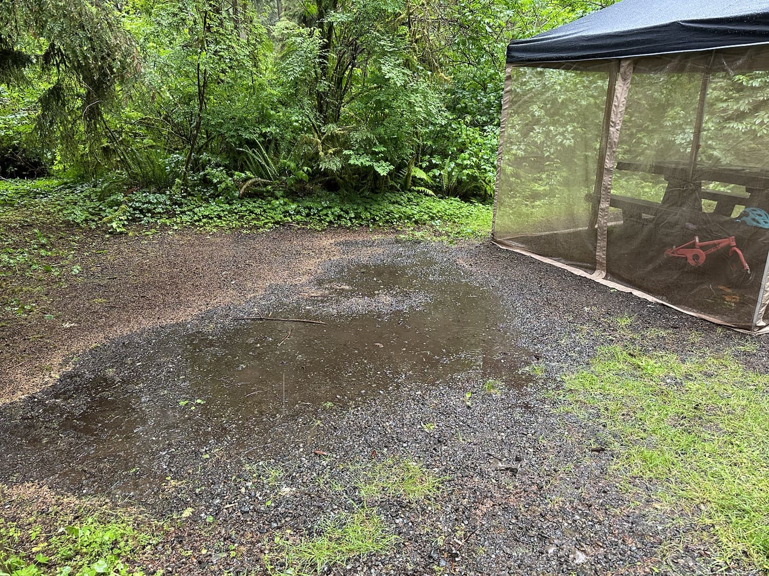 Explore Mora Campground: Essential Family's Guide And Tips