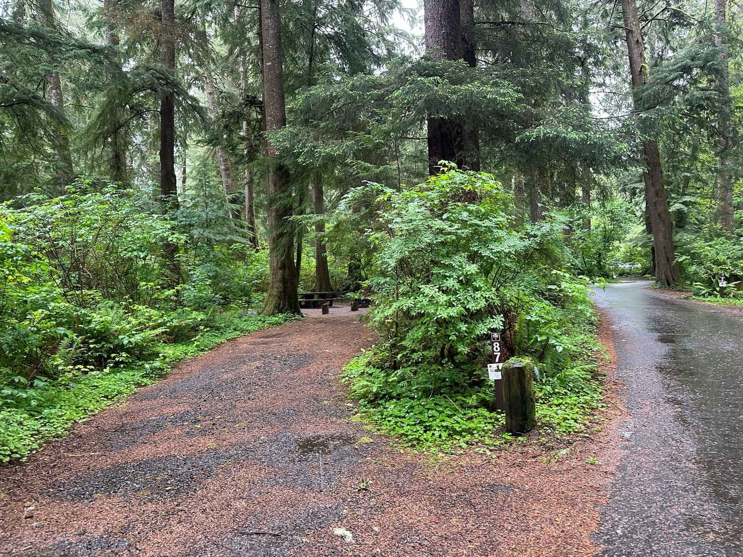 Explore Mora Campground: Essential Family's Guide And Tips