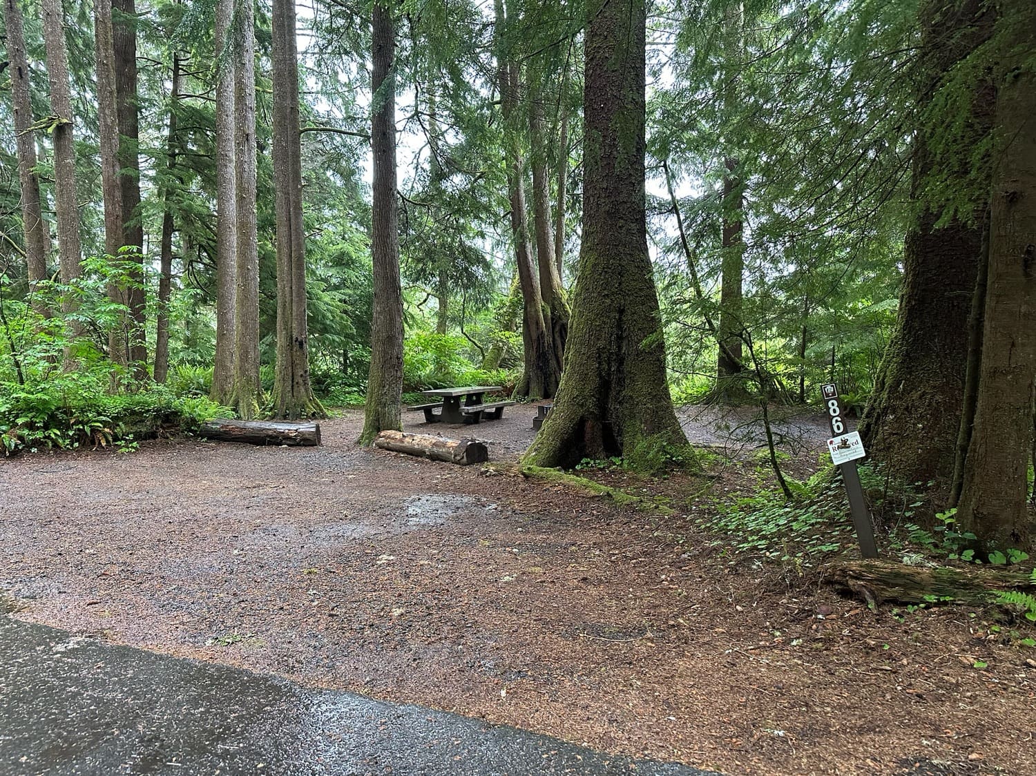 Explore Mora Campground: Essential Family's Guide And Tips