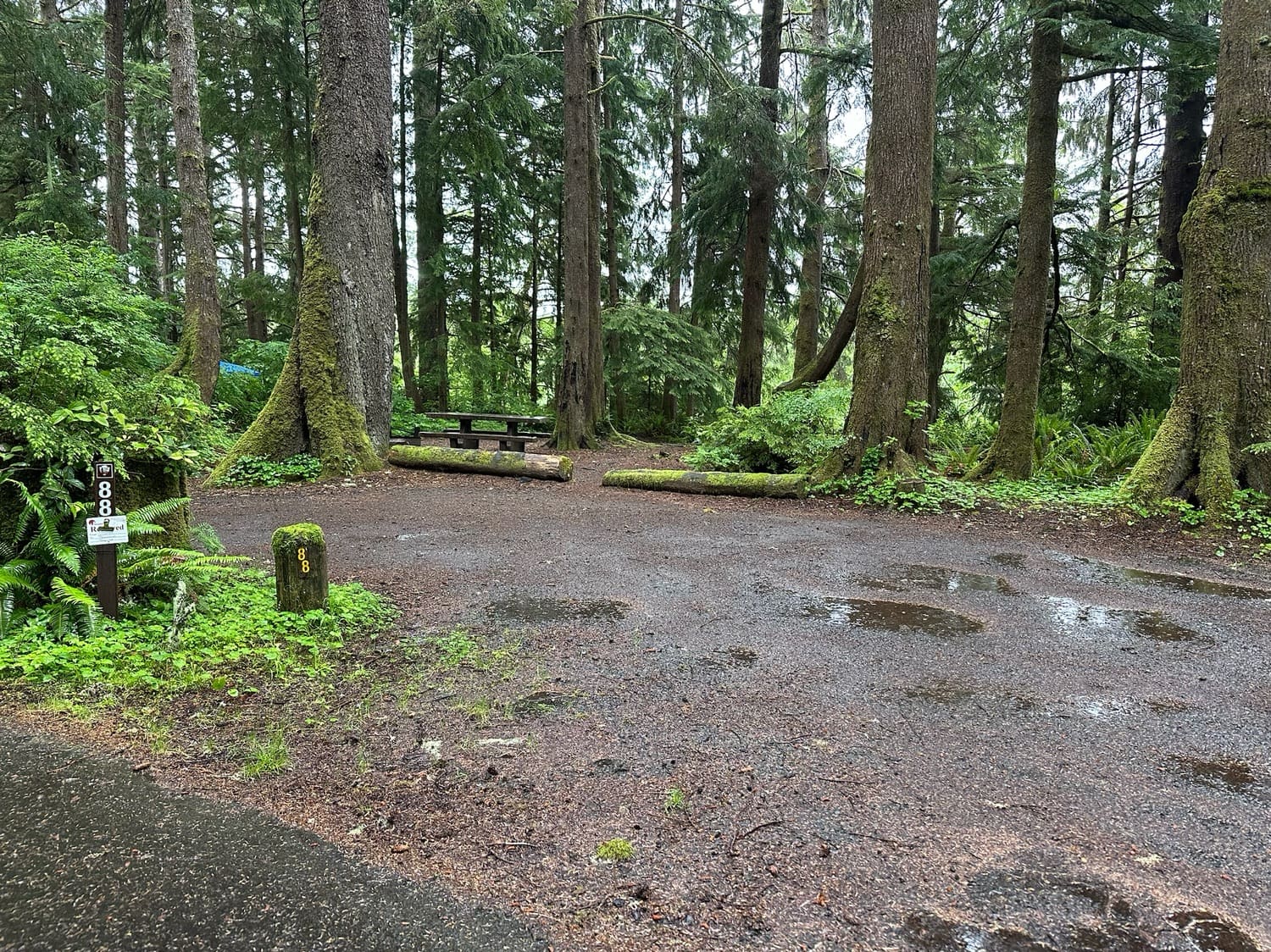 Explore Mora Campground: Essential Family's Guide And Tips