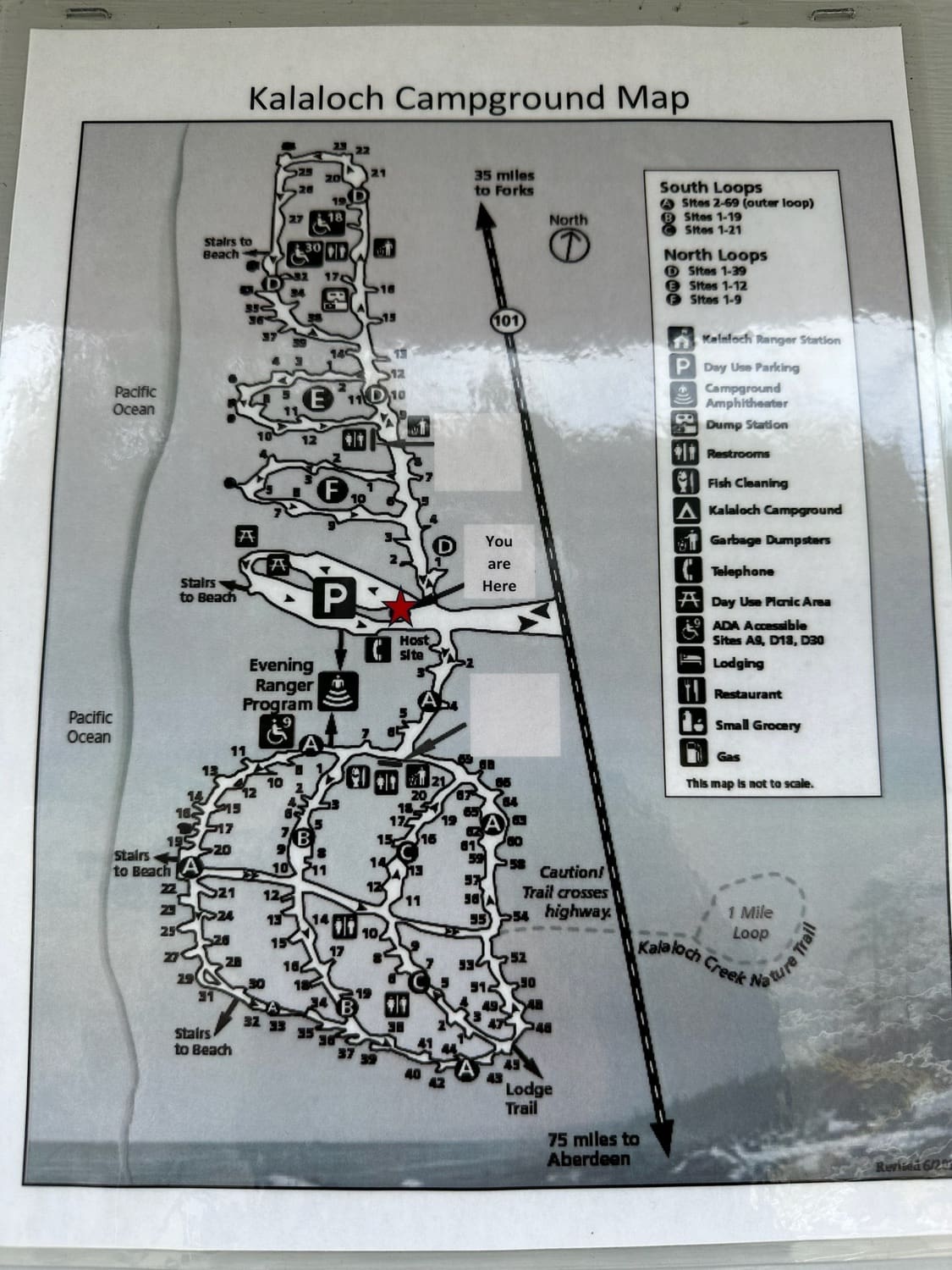 Discover Kalaloch Campground: Unforgettable Scenery